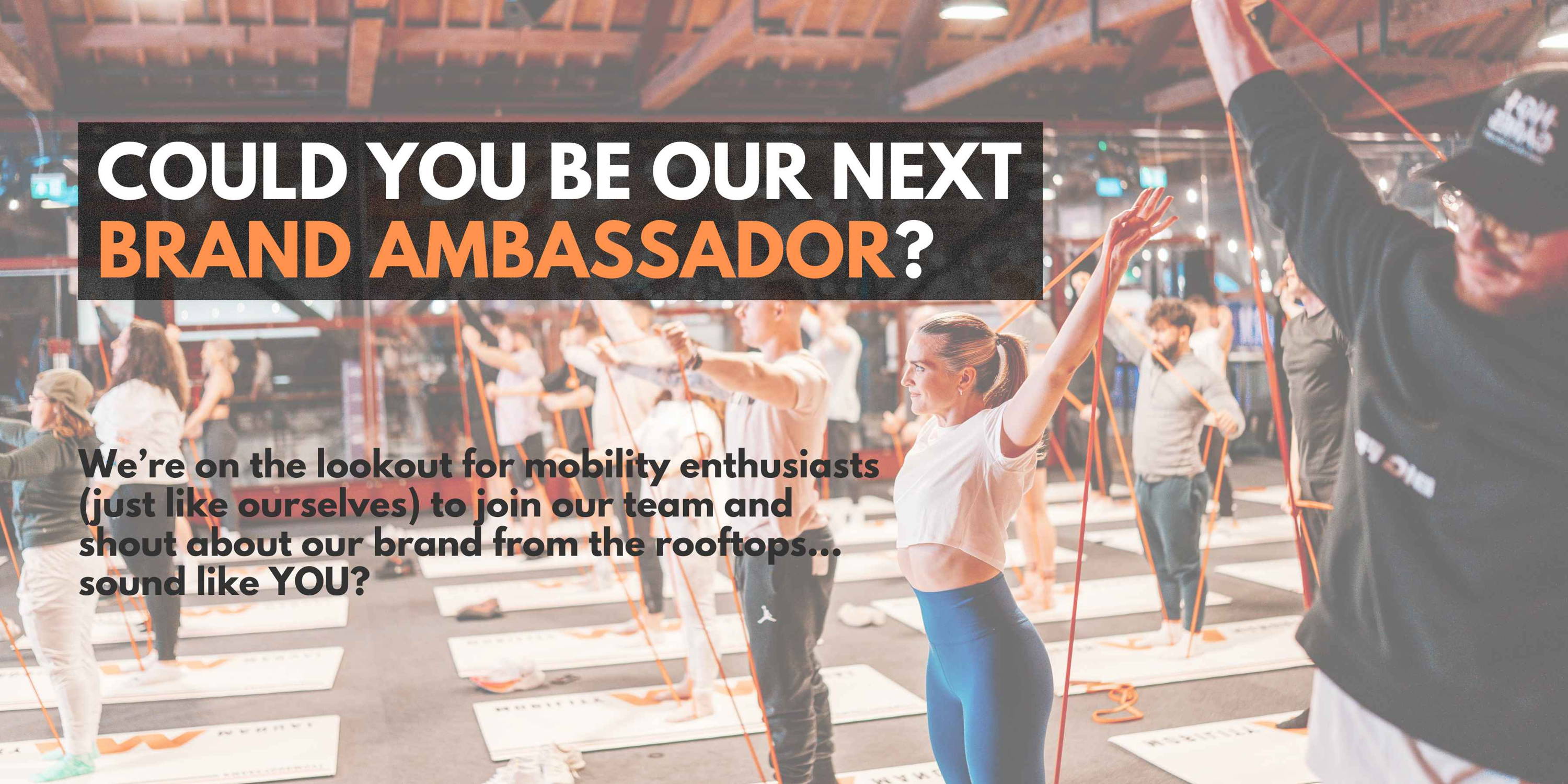 Ambassador Program – Mobility Manual